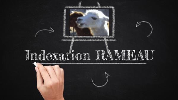 Indexation et circuit du doc | Genially