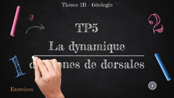 1 - TP5 - Dorsales