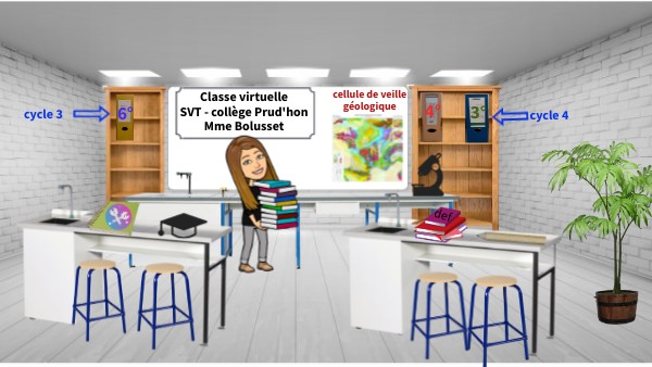 classe virtuelle Mme Bolusset | Genially
