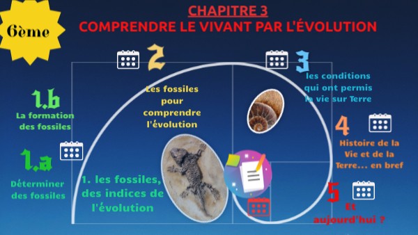 6è_chap3_evolution | Genially
