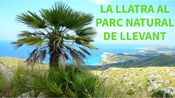 ANTIC OFICI DEL PARC | Genially