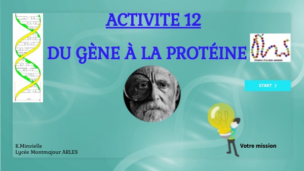 Du gène à la protéine ETAPE 1 | Genially
