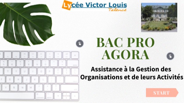 SECTION BAC PRO AGORA | Genially