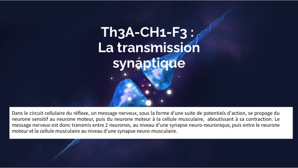 Tspé-TH3A-CH1-F3-Synapse | Genially