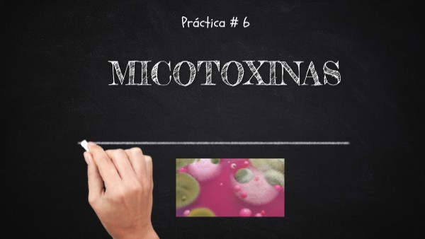 Práctica 6_MICOTOXINAS | Genially