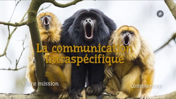 Communication intraspécifique 2de | Genially