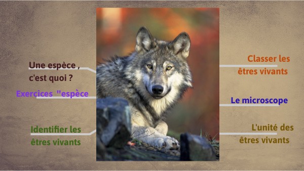 diversité et unité des êtres vivants | Genially