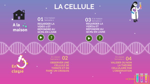la cellule 6ième | Genially