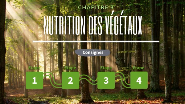 Nutrition végétaux 5ème | Genially