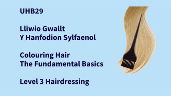 Colour Hair 1 | Genially