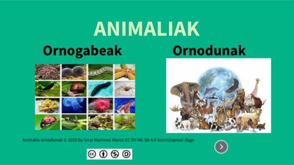 ANIMALIA ORNODUNAK | Genially