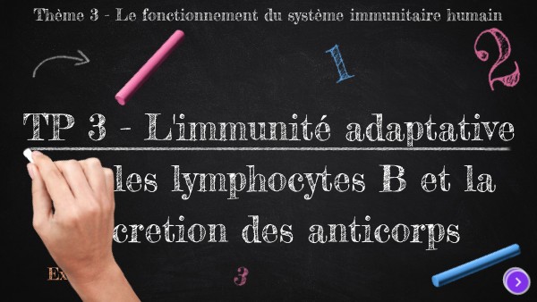 1 - TP3et4 - Anticorps