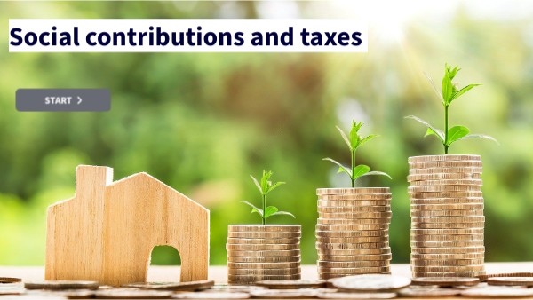 Social contributions and taxes | Genially