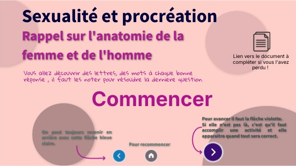 Chp_2_Anatomie de l'appareil reproducteur 2nd | Genially