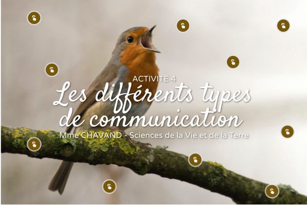 Les différents types de communication | Genially