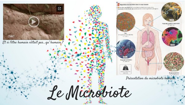 Découverte du microbiote | Genially