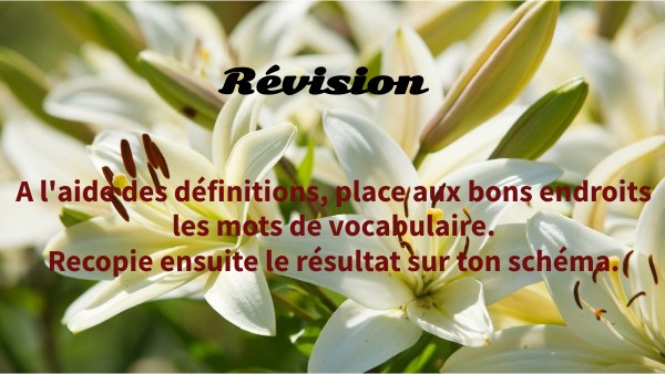 revision_annotation_fleur | Genially