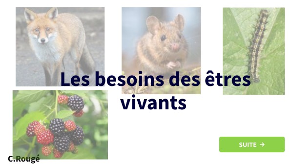 Besoins des êtres vivants | Genially