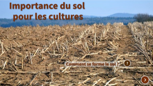 Importance du sol | Genially