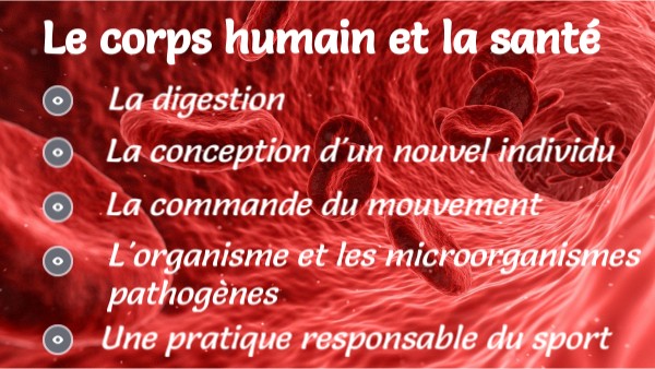 4ème Thème I