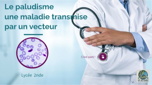 Activité 2nde Le paludisme VCl | Genially