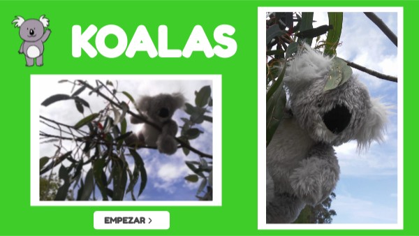 KOALAS | Genially