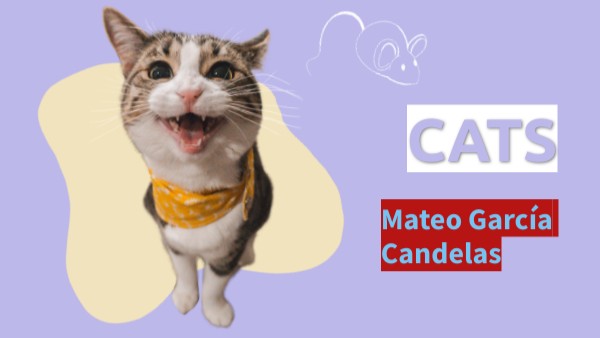 Cats presentatión | Genially