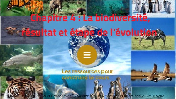 Chapitre 5 : La biodiversité, résultat et étape de l'évolution | Genially