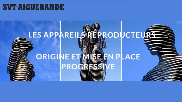 Aiguerand's anatomy-appareils reproducteurs | Genially