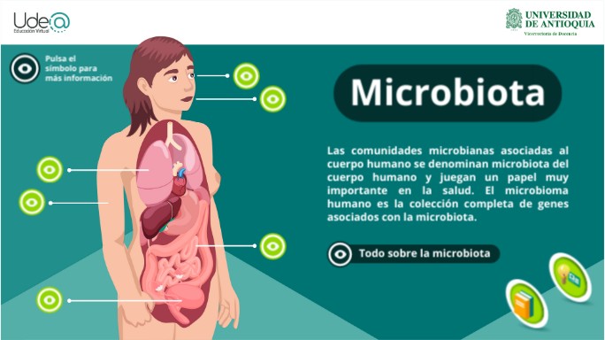 Microbiota | Genially