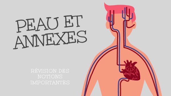 Révision Bio (programme de soins) | Genially