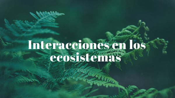 interacciones en los ecosistemas 2 | Genially