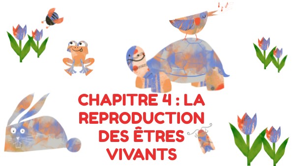4ème CHAP 1 REPRODUCTION EV | Genially