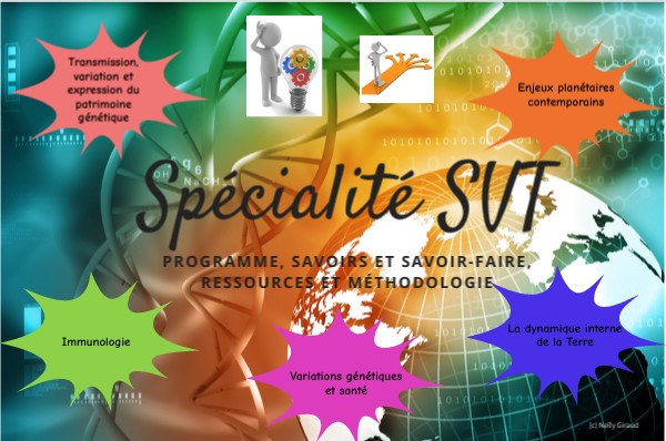 programme de spécialité première | Genially