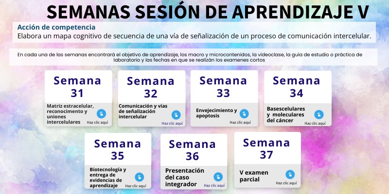 2021 Unidad V semanas | Genially