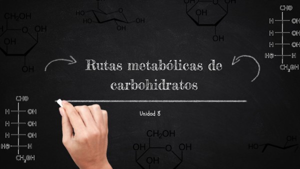 rutas metabólicas de carbohidratos