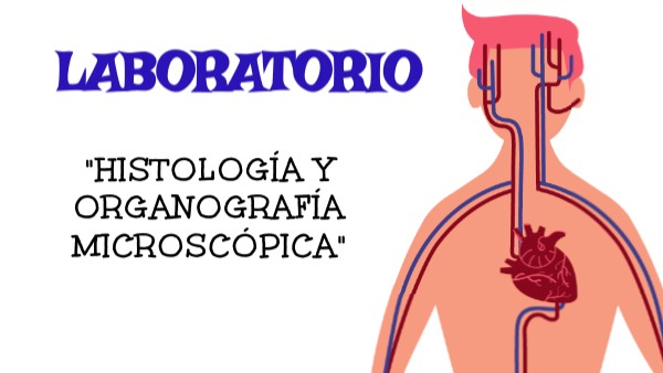 Práctica 1. Presentación | Genially