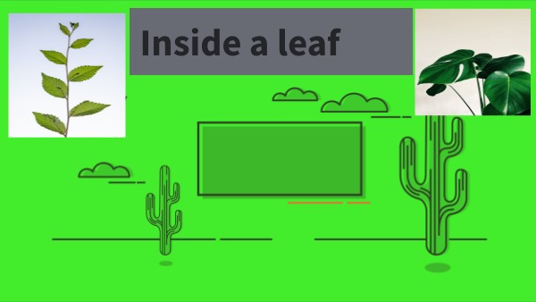 1.2-Inside a leaf | Genially