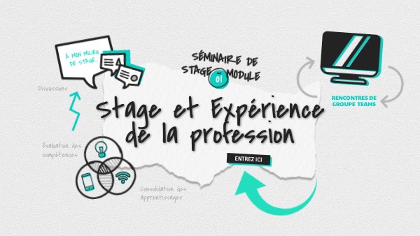 Module 1 - Stage et expérience de la profession | Genially