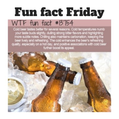 Fun fact Friday- bell ringer | Genially