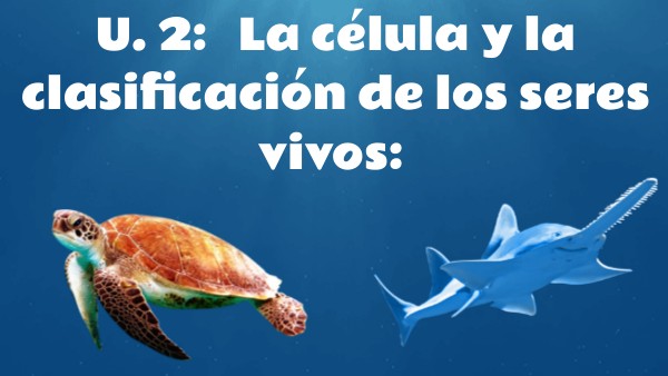 A U. 2. LA CÉLULA Y LA CLASIFICACIÓN DE LOS SERES VIVOS. | Genially