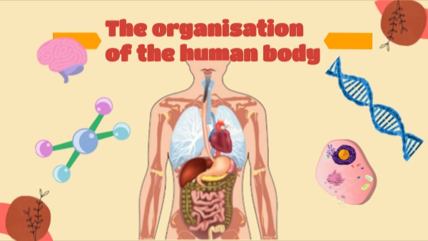Unit. 1. the organisation of human body | Genially