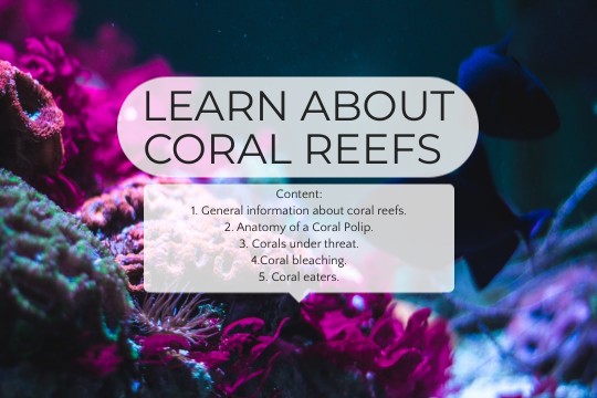 1. Learn about Coral Reefs