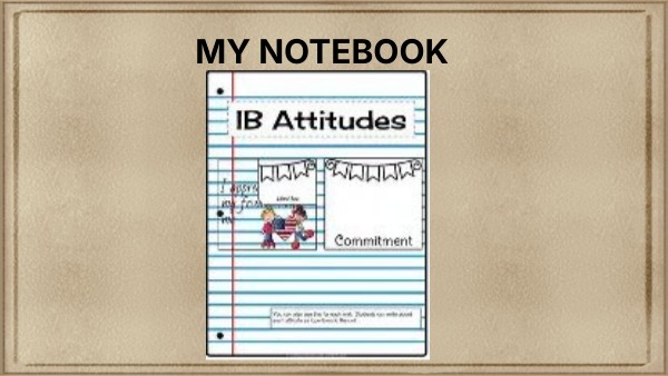 IB_IDENTITIES_READING