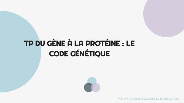 du gene à la proteine | Genially