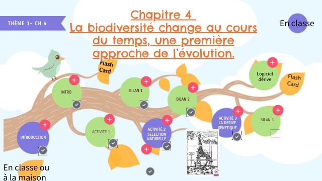 Plan de travail | Genially