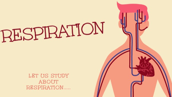 RESPIRATION PRESENTATION | Genially