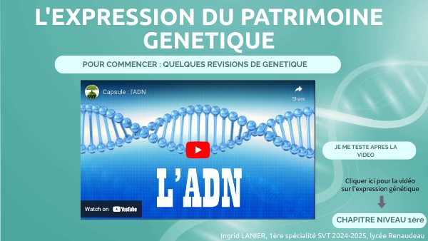 Expression du patrimoine génétique | Genially