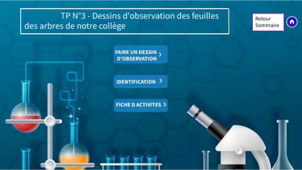 6eme - Semaine 8- TP 3- Dessin d'observation | Genially