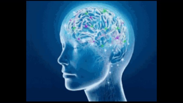6o-Nervous system-immune system | Genially